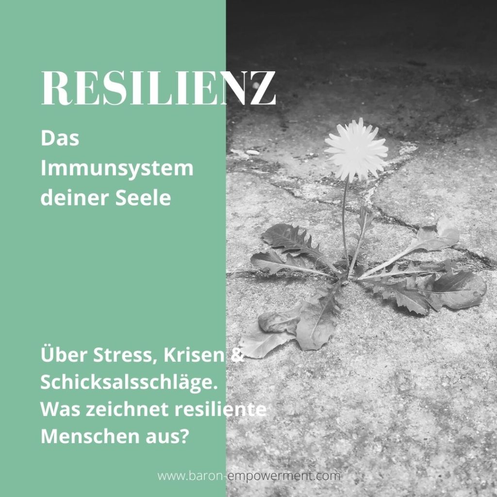 Resilienz - Das Immunsystem deiner Seele - Birgit Baron