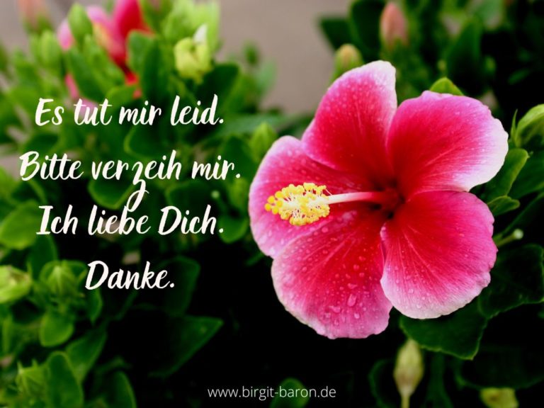 Die Kraft der Vergebung - Birgit Baron